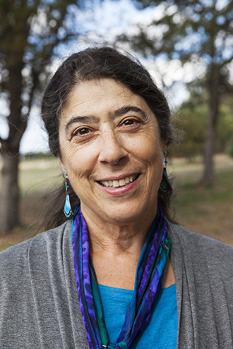 Interview with Alice Rothchild: Examining the founding mythology of ...